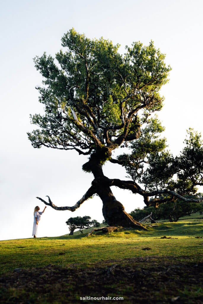 18 Unmissable Things to do in Madeira, Portugal (2026 Guide)