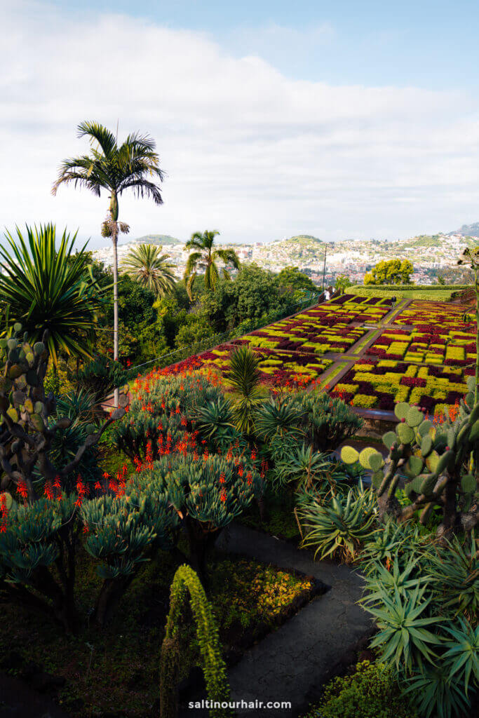 Madeira 10 Day Itinerary, Portugal (Ultimate Travel Guide)