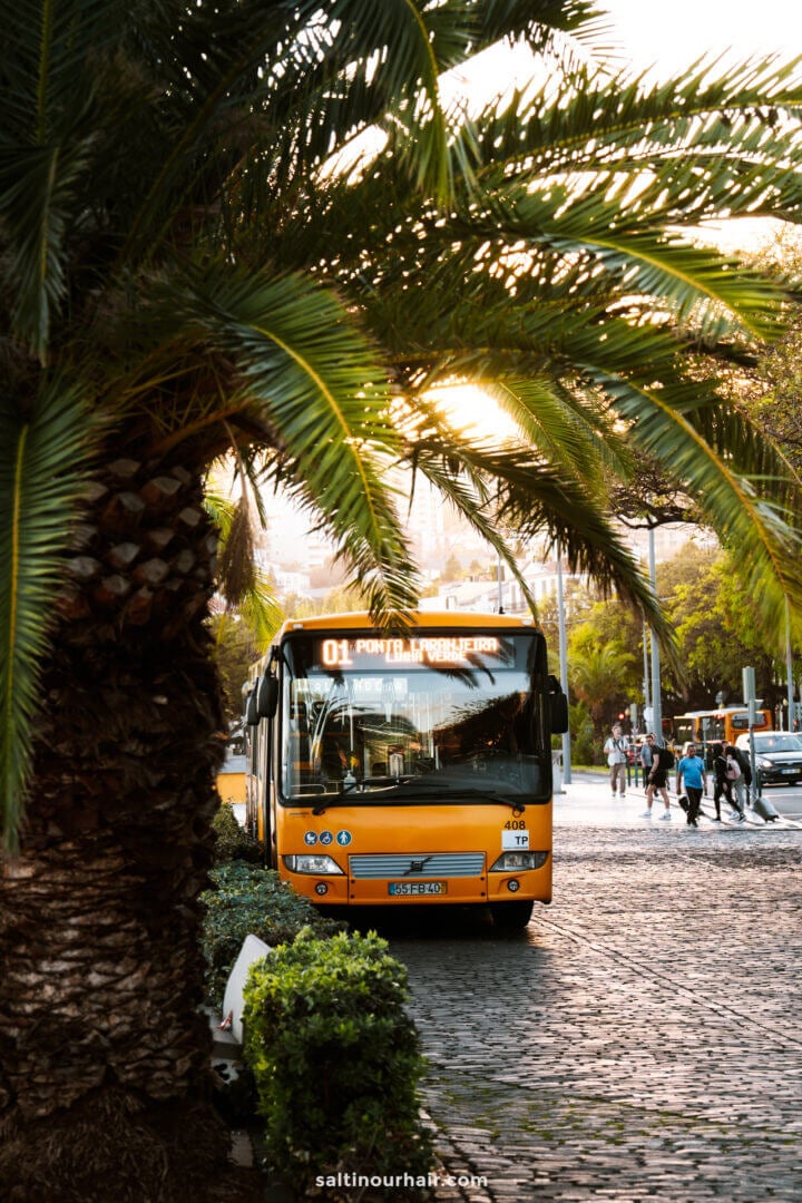 How to Hike PR8 Vereda da Ponta de São Lourenço on Madeira