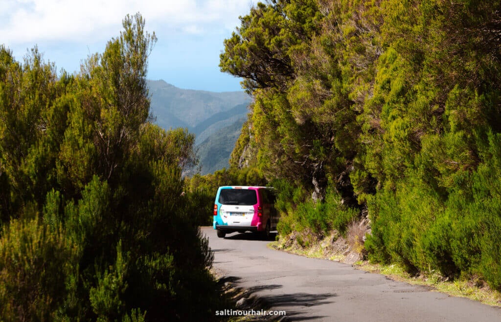 Levada das 25 Fontes on Madeira: How to Hike PR6