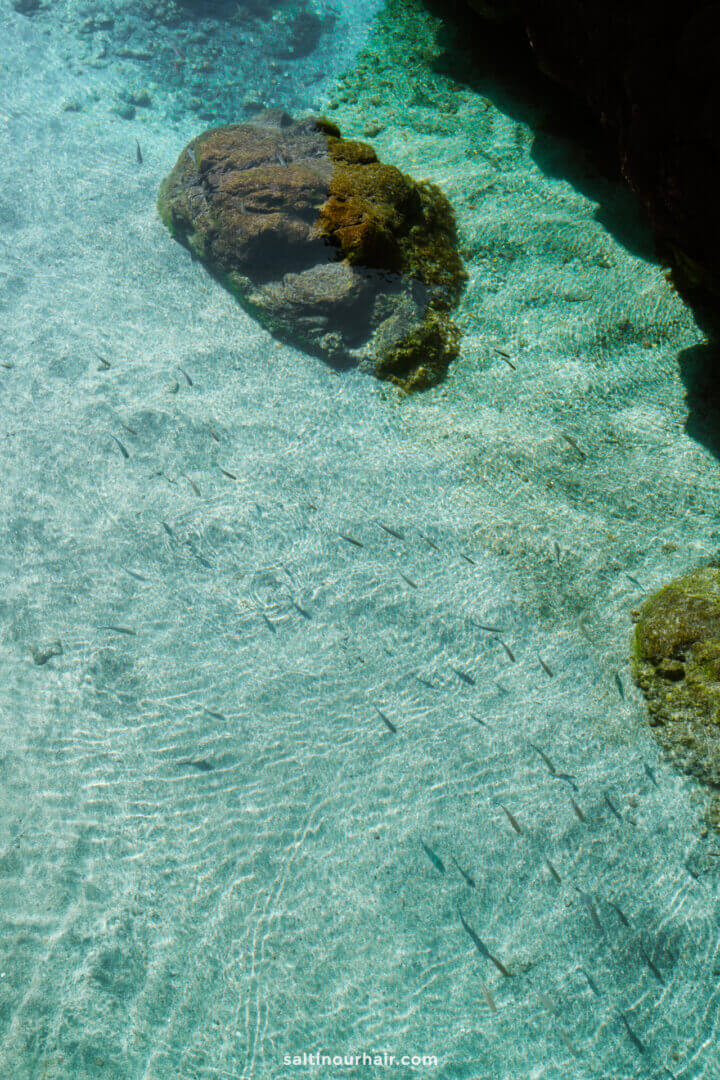 Porto Moniz Natural Pools, Madeira (Visitor's Guide 2026)