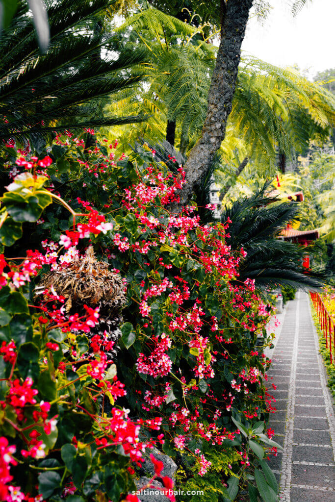 Monte Palace Gardens in Funchal, Madeira (Visitor's Guide 2026)