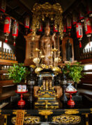 Nachi Falls: Our Best Tips for Visiting Japan's Tallest Waterfall!