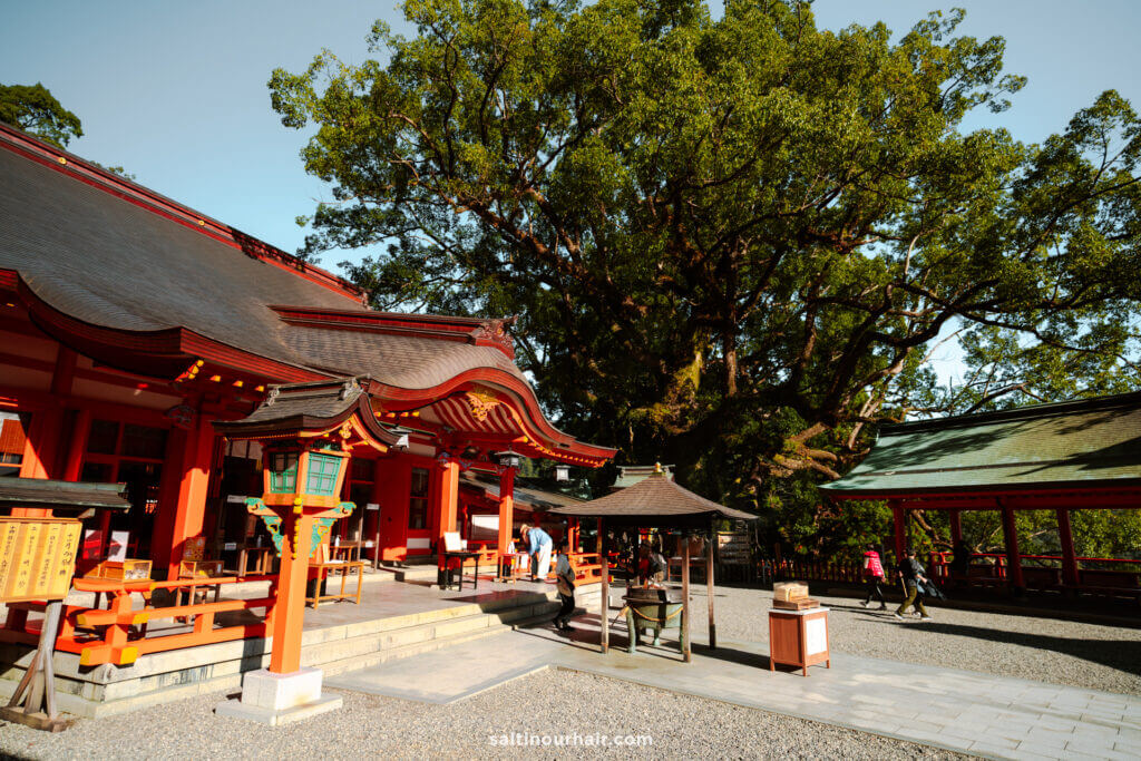 Nachi Falls: Our Best Tips for Visiting Japan's Tallest Waterfall!