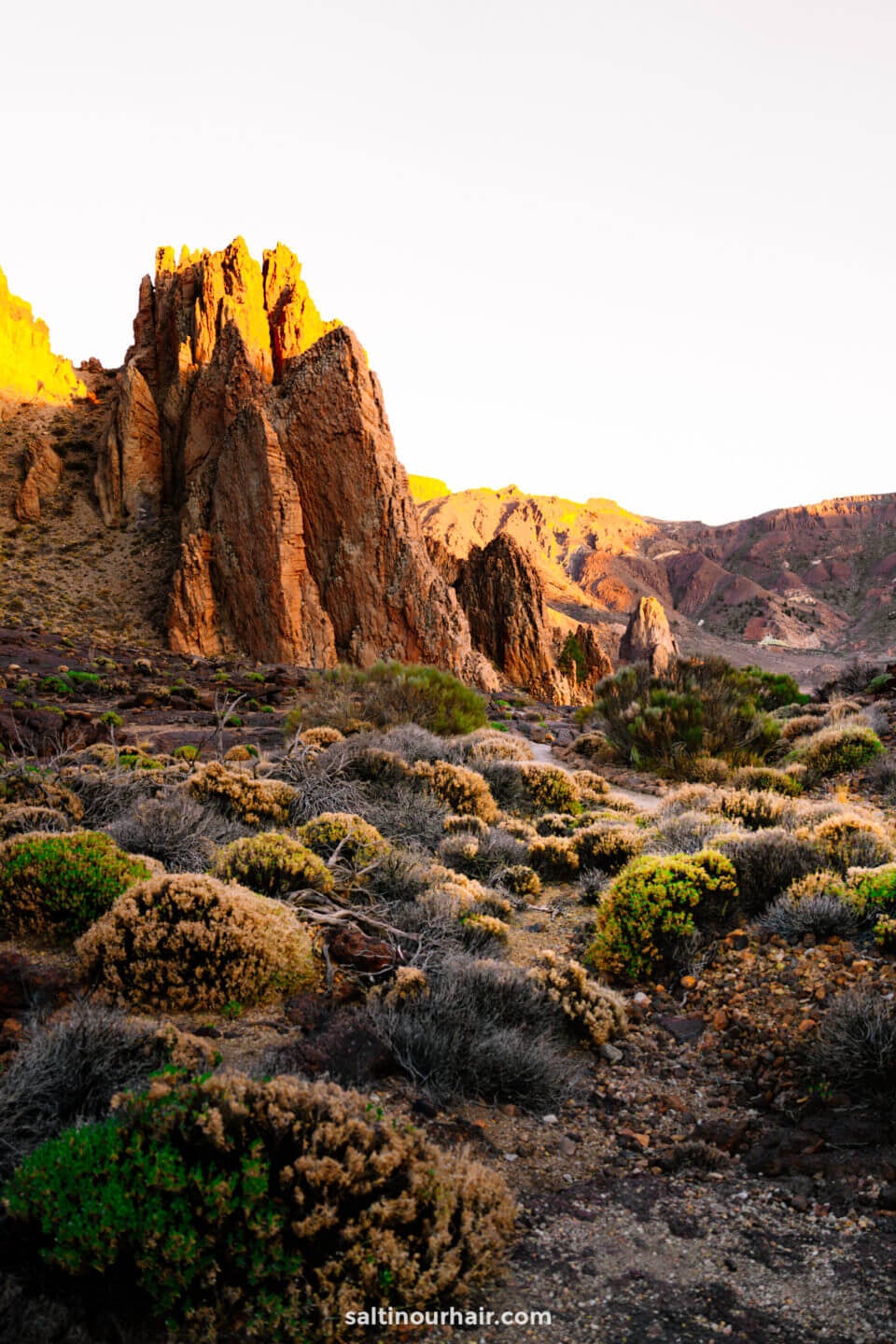 The Ultimate One Week in Tenerife Itinerary (Travel Guide)