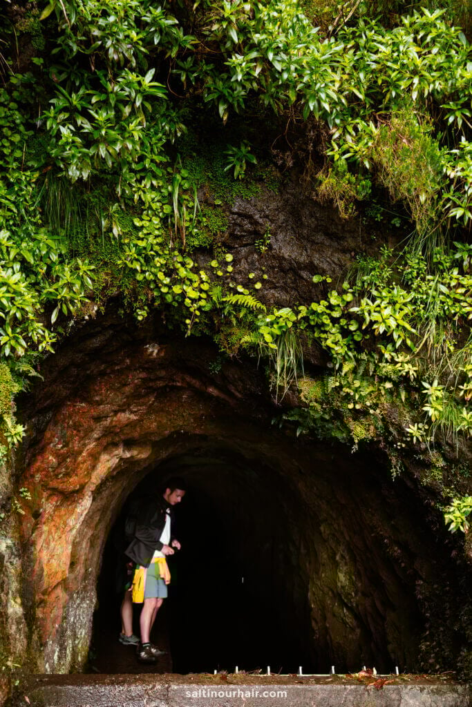 How to Hike PR17 Madeira (Caminho do Pináculo e Folhadal)