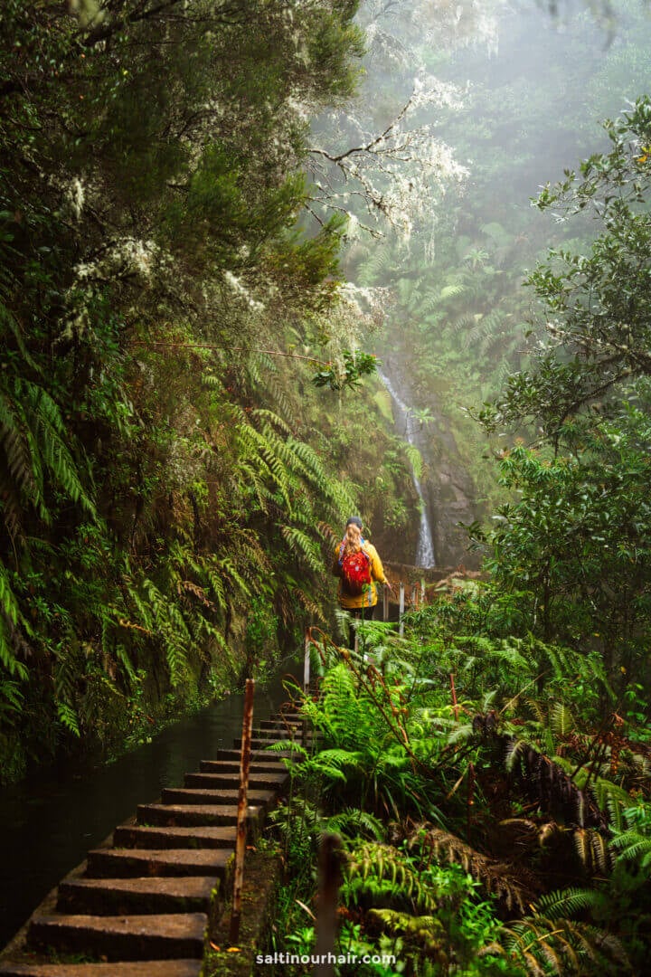 How to Hike PR17 Madeira (Caminho do Pináculo e Folhadal)